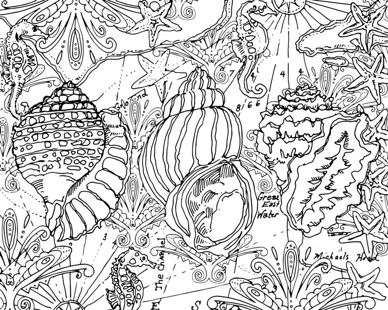 Shells - Coloring Canvas - Canvas On Demand®