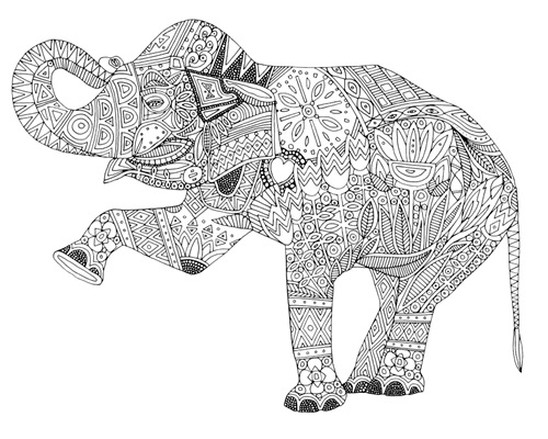 Asian Elephant | Coloring Canvas - Canvas On Demand®